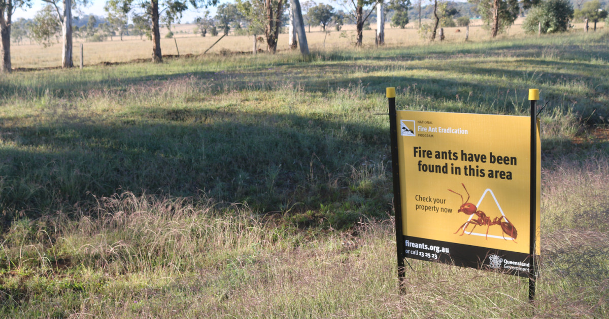 Biosecurity zone order placed on Oakey | Our News | Local News covering ...