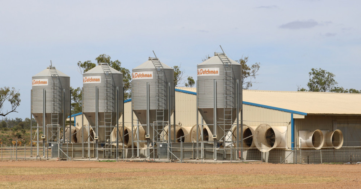 Approval sought for expansion of piggery | Our News | Local News ...